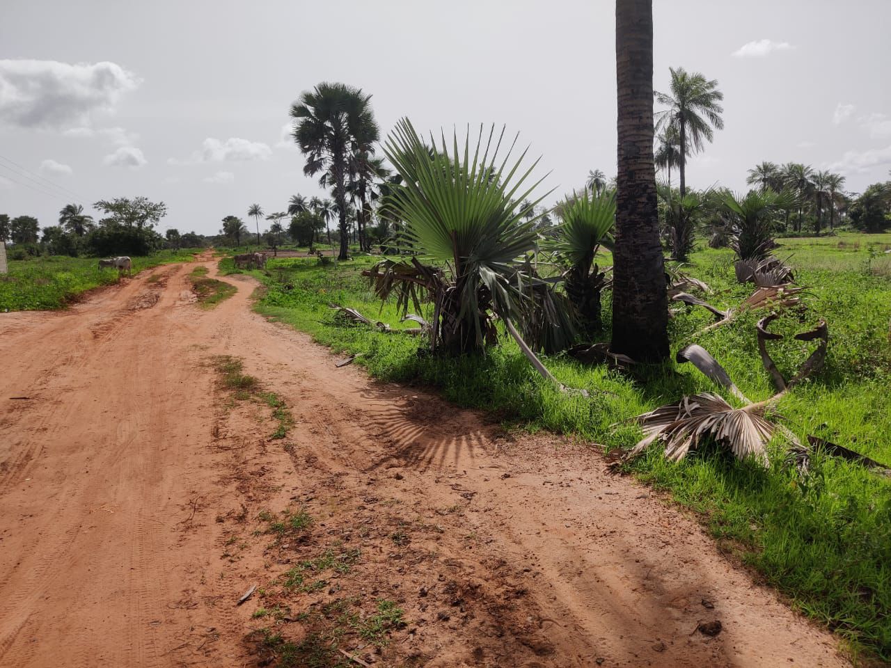 Welcome! [www.gambiapropertiesforsaleorrent.com]